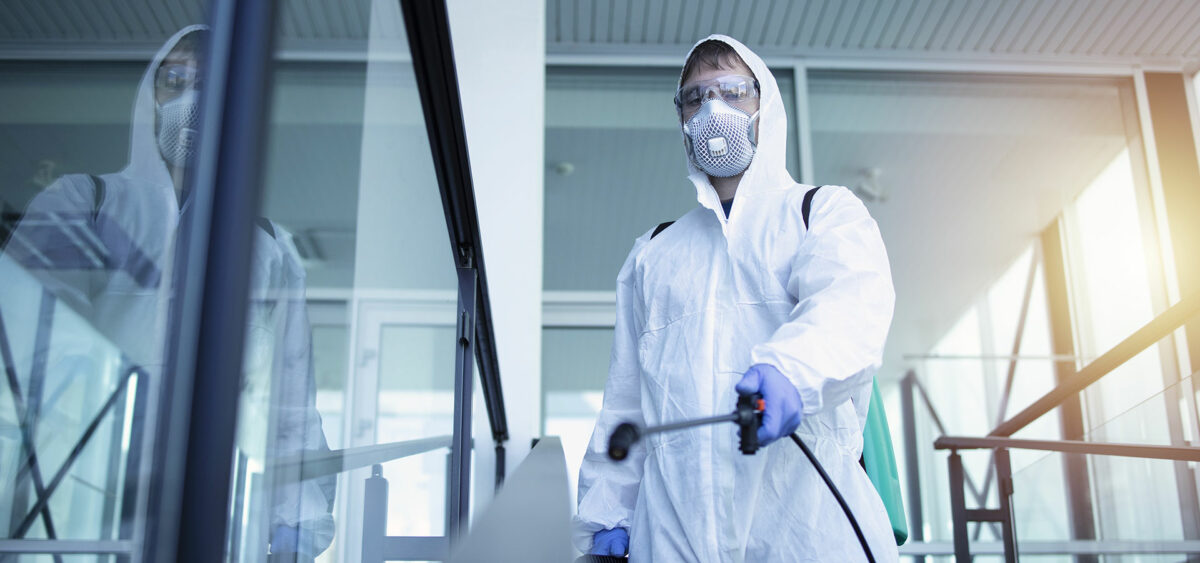 Désinsectisation Bordeaux : tout savoir sur cette intervention